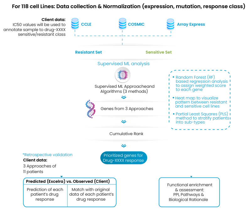 Predictive Biomarkers for Drug Response & Stratification | Excelra