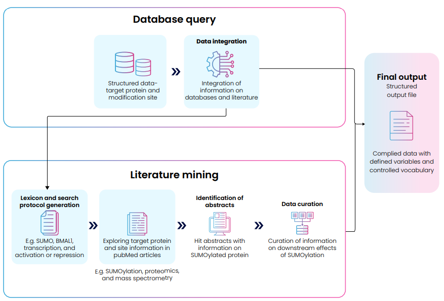 SUMOylation PTM Database Development | Excelra