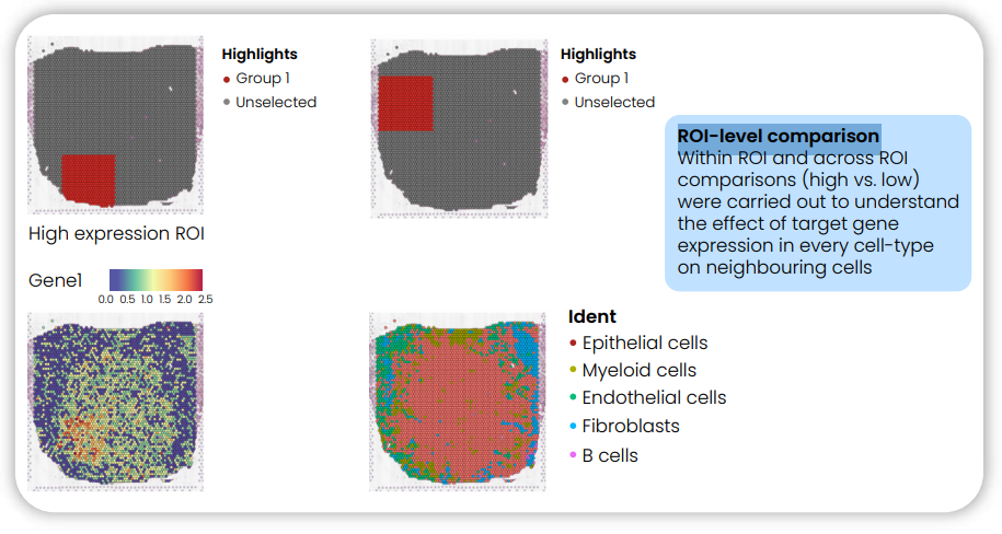 Spatial & Single-Cell Transcriptomics for Cancer Profiling
